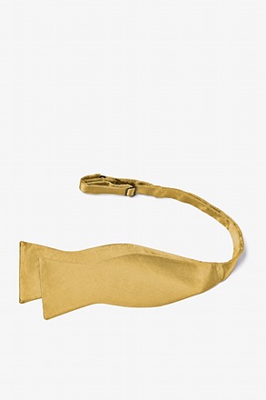 Gold Bow Ties for Men | Gold Bowties Collection | Ties.com