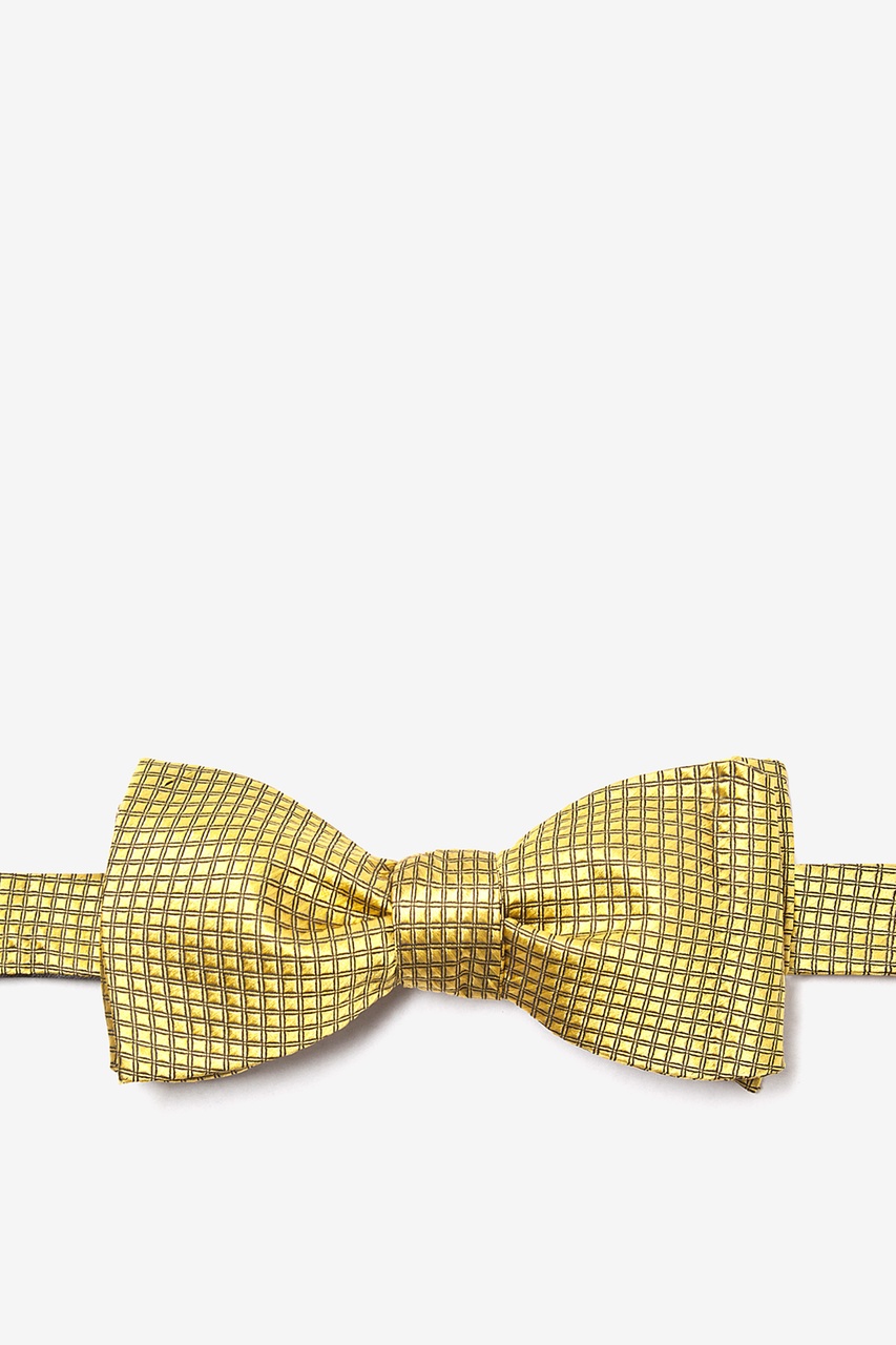 Gold Silk Revitalize Butterfly Self Tie Bow Tie | Ties.com