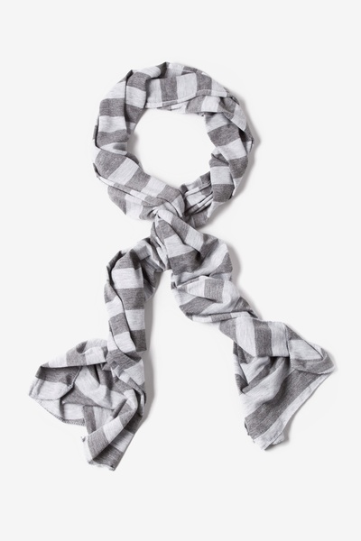 Heather Gray Polyester Mens Caravan Stripe Scarf | Ties.com