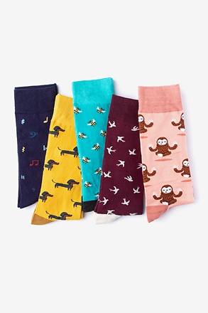 Sock Packs | 5 Pack Whole Week All in One | Ties.com