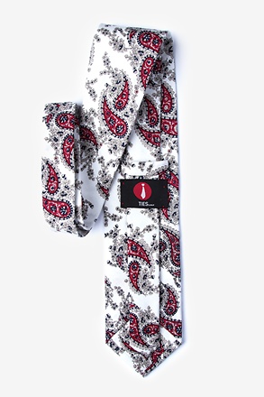 Men's Paisley Ties | Paisley Pattern Neckties for Men | Ties.com