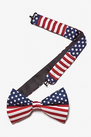 Patriotic and American Ties | Ties.com