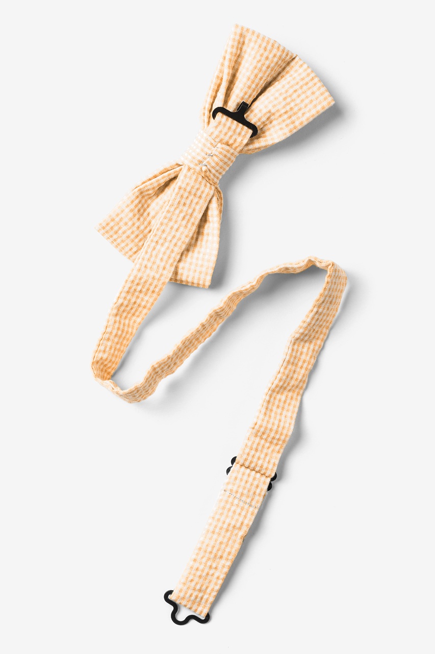 Orange Cotton Chamberlain Check Pre-Tied Bow Tie | Ties.com