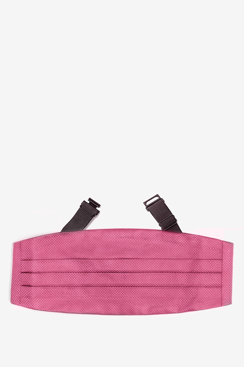 Pink Silk Revitalize Cummerbund | Ties.com