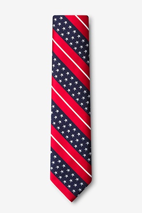 Patriotic and American Ties | Ties.com