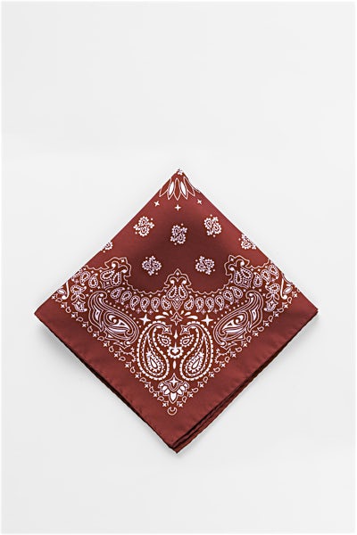 Red Silk Paisley Pocket Square Pocket Square | Ties.com