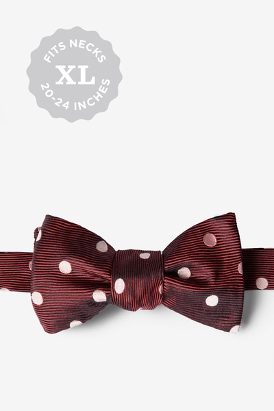 Red Silk Polka Dot Self-Tie Bow Tie | Ties.com