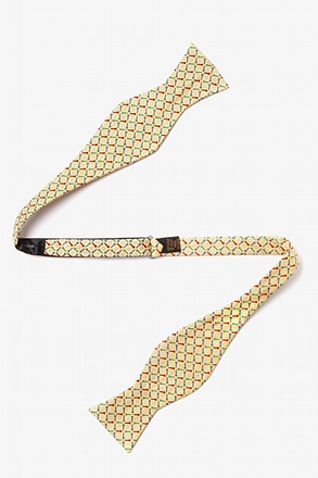 Sports Ties For Men | Sports Casual Neckties | Ties.com