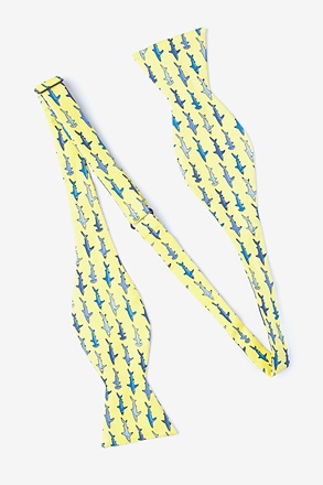 Beach and Nautical Ties | Men's Ocean Neckties | Ties.com